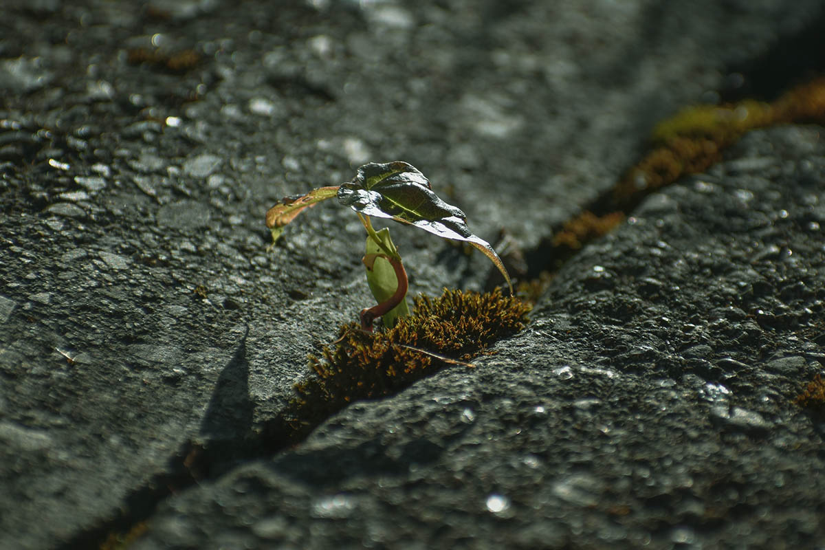 Homepage - HDC Group